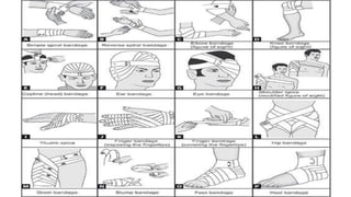 Bandages and Binders [Autosaved].pptx