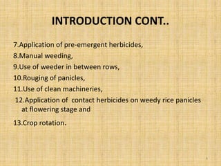 Bandara r m_u_s | PPTX