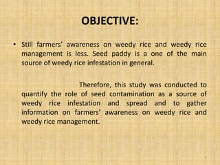 Bandara r m_u_s | PPTX