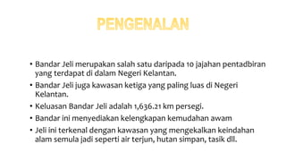Bandar jeli | PPTX