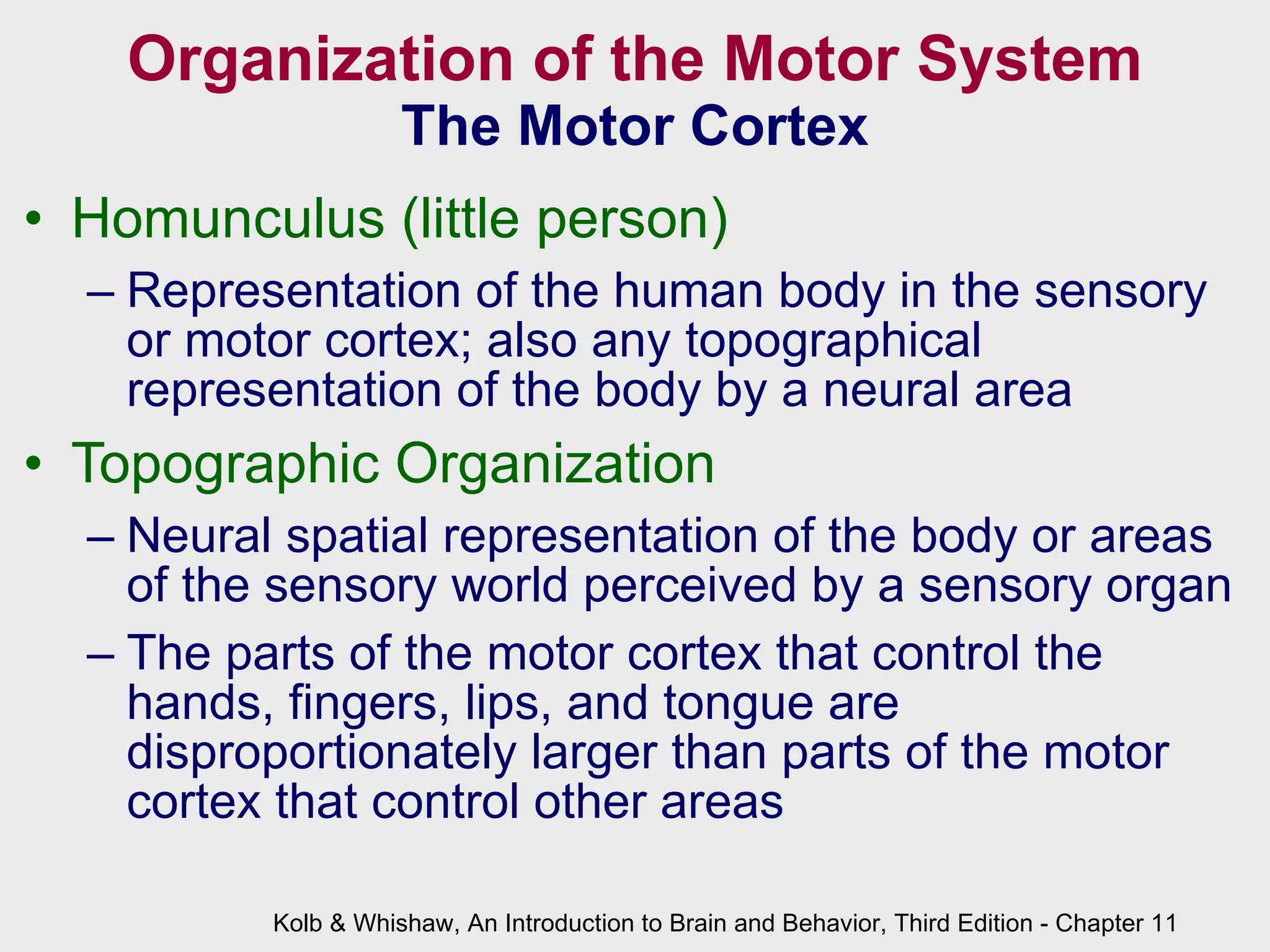 B and b3 lec ppt_ch11 | PPT