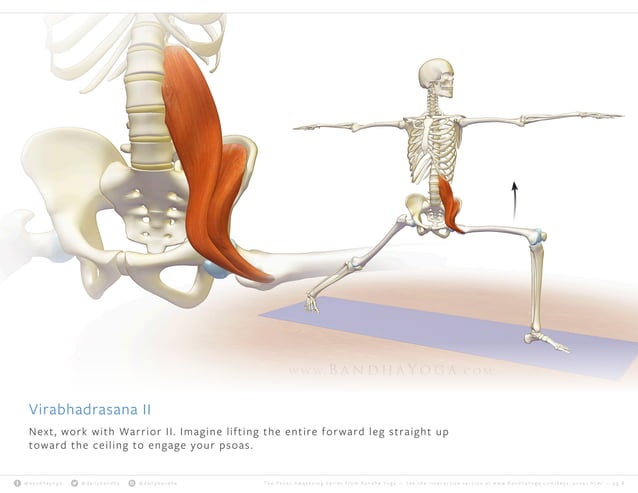 Bandha yoga psoas_awakening_series - copia | PPT | Free Download