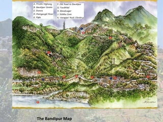 Bandipur tourism | PPTX