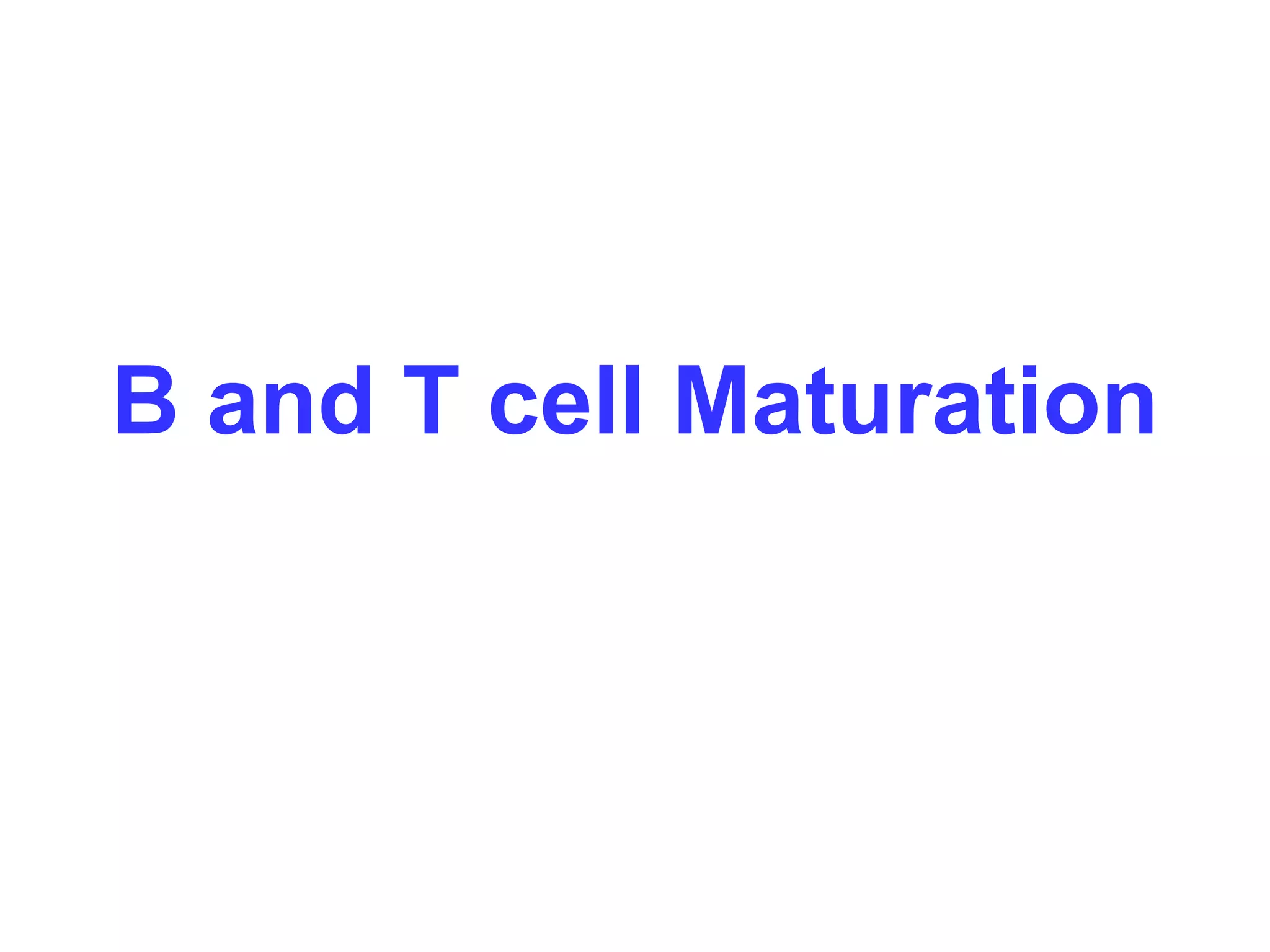 B and T cell maturation.ppt