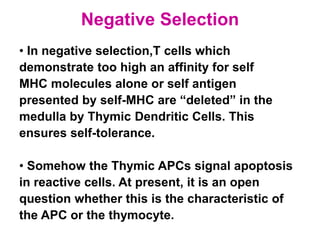 B and T cell maturation.ppt