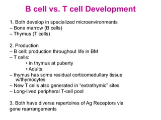 B and T cell maturation.ppt