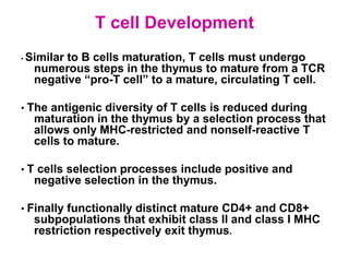 B and T cell maturation.ppt