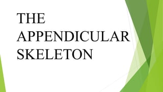 BANEZ JOANA O.- THE APPENDICULAR SKELETON.pptx.pdf | Death, Injury, or Military Conflict ...