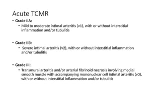 Banff classification and Banff scoring categories for kidney allograft.pptx