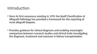 Banff classification and Banff scoring categories for kidney allograft.pptx