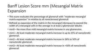 Banff classification and Banff scoring categories for kidney allograft.pptx