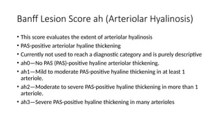 Banff classification and Banff scoring categories for kidney allograft.pptx
