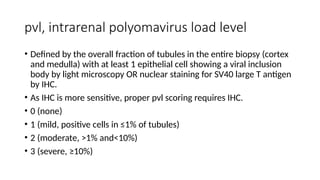 Banff classification and Banff scoring categories for kidney allograft.pptx