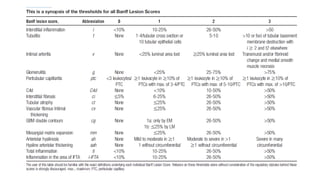 Banff classification and Banff scoring categories for kidney allograft.pptx