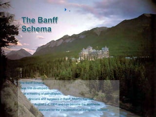Banff foundation and future of transplantation | PPTX