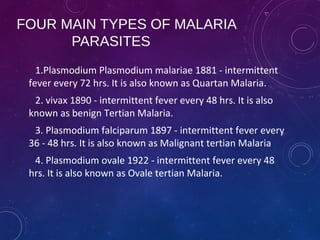 Malaria Parasite | PPT