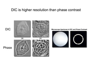 Bangalore polarization dic | PPTX