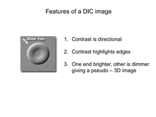 Bangalore polarization dic | PPTX