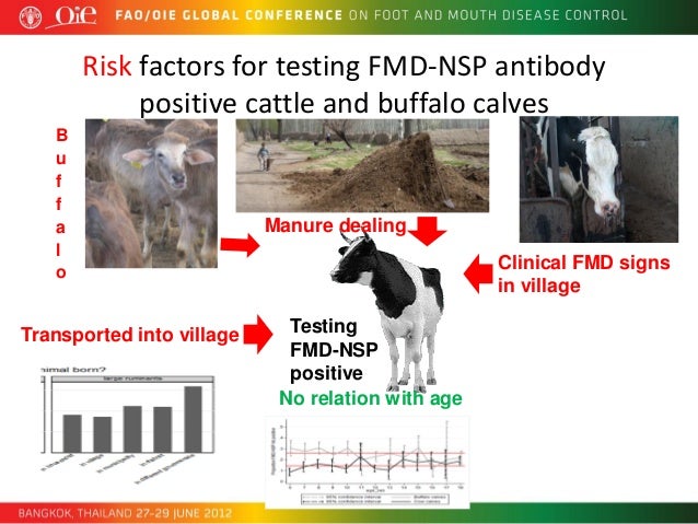 The Progressive Control Pathway for FMD (PCP-FMD): a Tool for Develo…