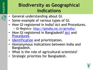 Geographical Indications as a tool for leveraging innovations and ...