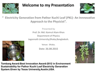 Dhaka | Aug-15 | Electricity Generation from Pathor Kuchi Leaf (PKL ...