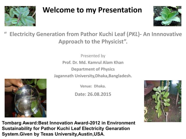 Dhaka | Aug-15 | Electricity Generation from Pathor Kuchi Leaf (PKL ...