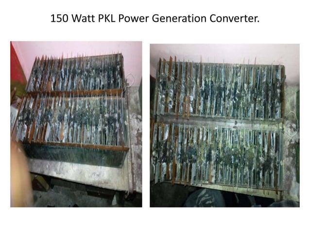 Dhaka | Aug-15 | Electricity Generation from Pathor Kuchi Leaf (PKL ...