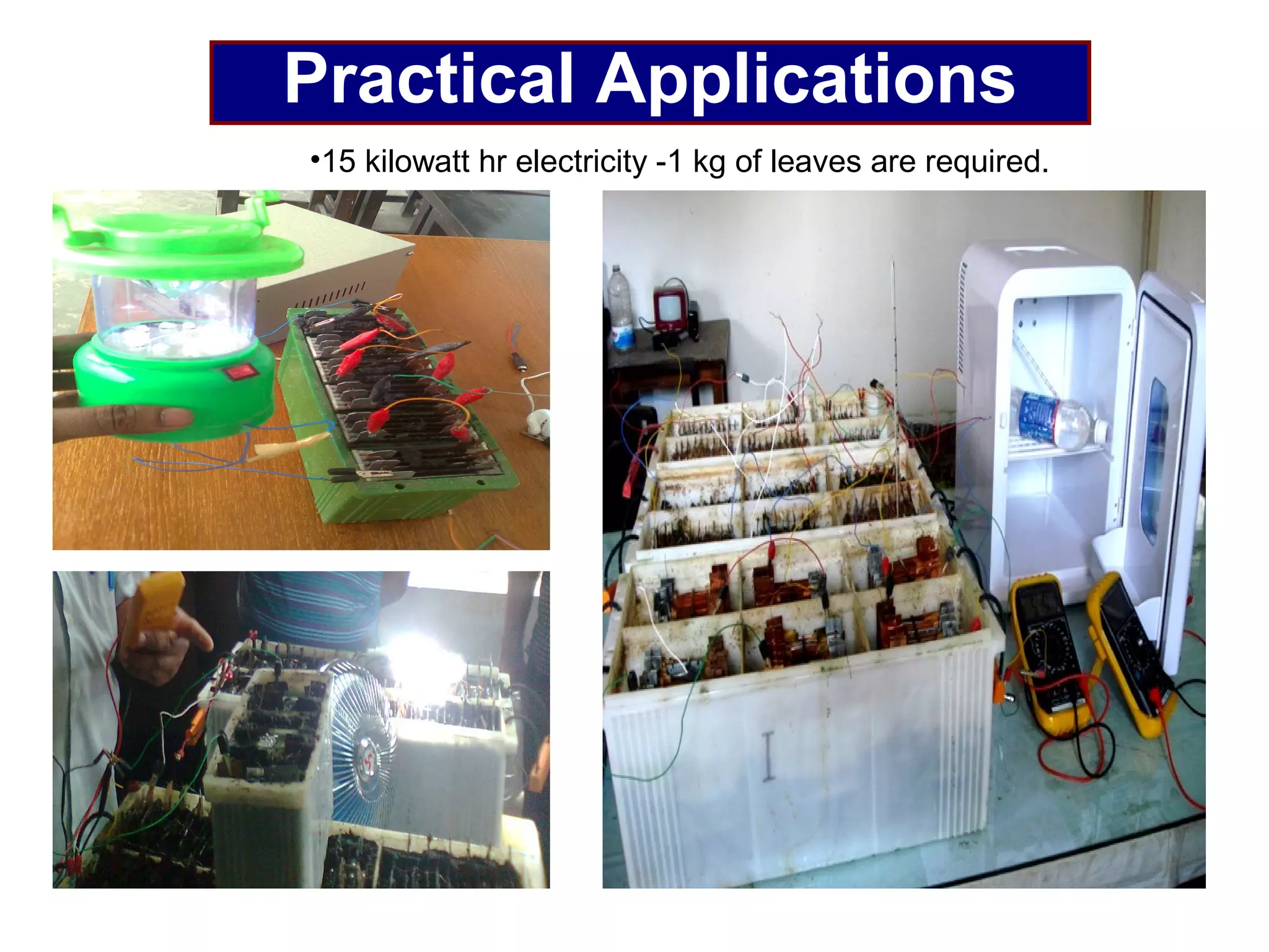 Dhaka | Aug-15 | A Study on Electrochemistry of PKL (Pathor Kuchi Leaf ...