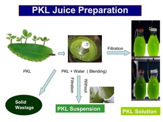 Dhaka | Aug-15 | A Study on Electrochemistry of PKL (Pathor Kuchi Leaf ...