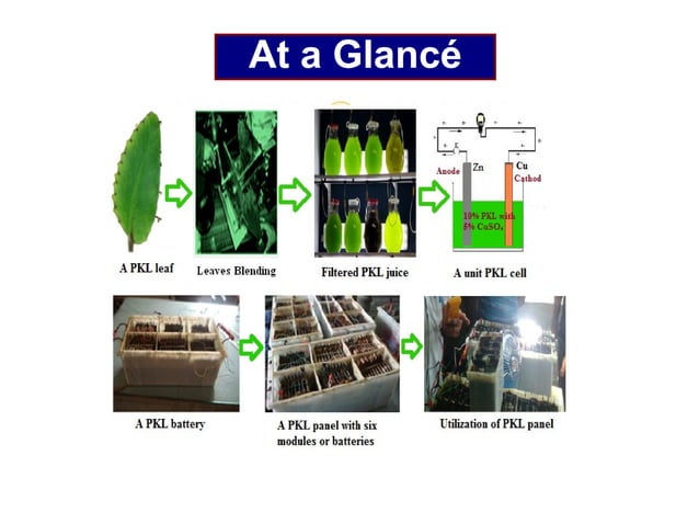 Dhaka | Aug-15 | A Study on Electrochemistry of PKL (Pathor Kuchi Leaf ...