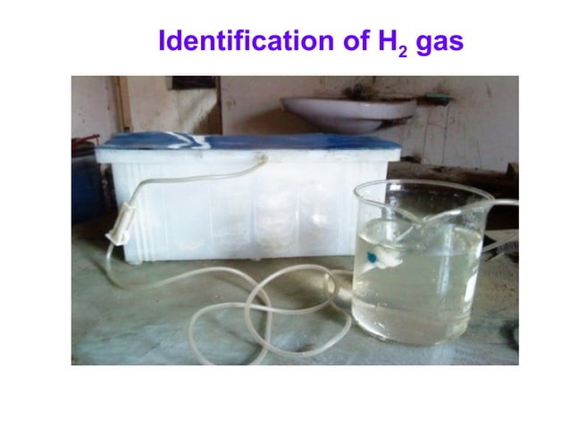 Dhaka | Aug-15 | A Study on Electrochemistry of PKL (Pathor Kuchi Leaf ...