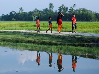 Bangladesh production supervision | PPT