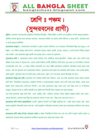 Bangla rochona (বাংলা রচনা 5ম শ্রেণির জন্য) | PDF