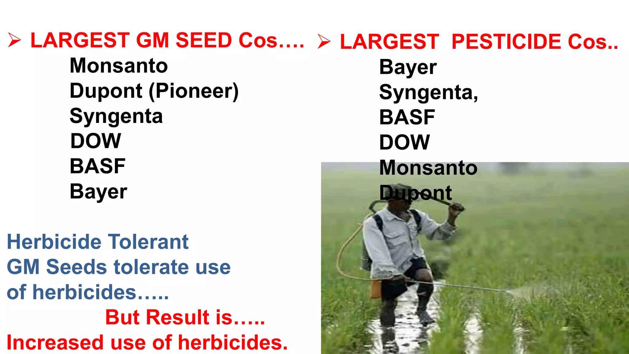 Genetically Modified seeds | PPTX