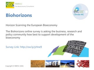 'Developing the Biobased Economy' presentation given at the 25th ...