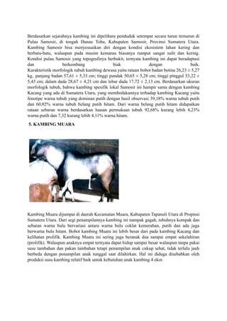 BANGSA DAN KARAKTERISTIK TERNAK KAMBING.docx
