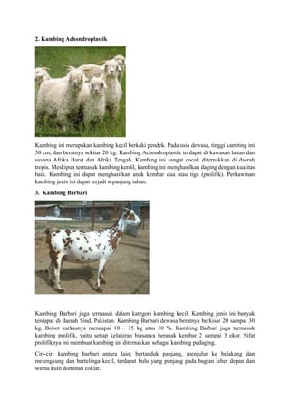 BANGSA DAN KARAKTERISTIK TERNAK KAMBING.docx