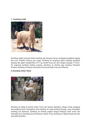 BANGSA DAN KARAKTERISTIK TERNAK KAMBING.docx