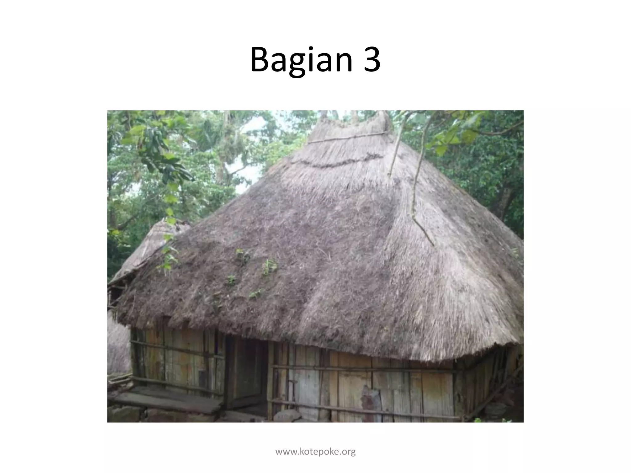 Bangunan adat timor tengah utara | PPTX