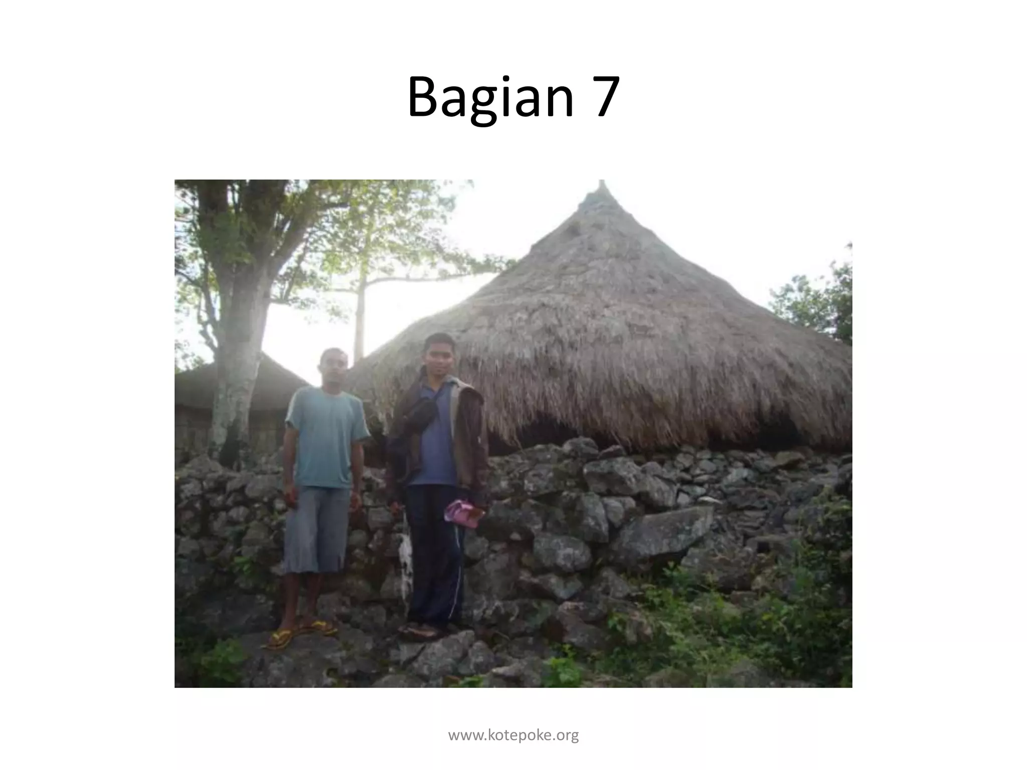 Bangunan adat timor tengah utara | PPTX