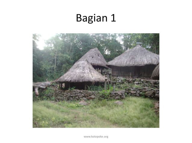 Bangunan adat timor tengah utara | PPTX