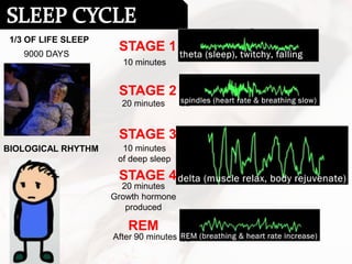 Bangun dan tidur | PPT