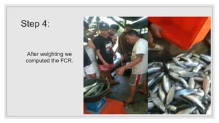 Bangus-harvesting-process.pptx(group2).pptx
