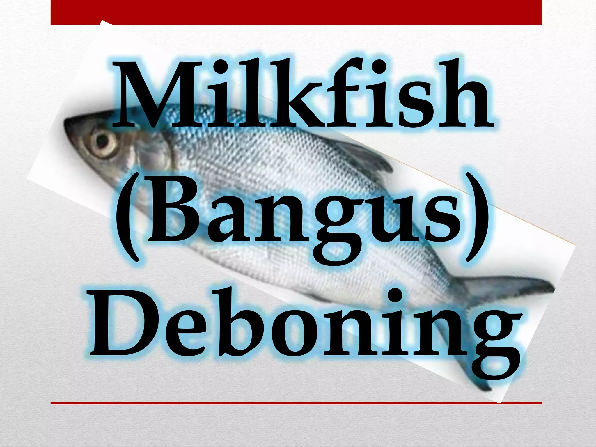 Bangus (MILK FISH) deboning | PPTX