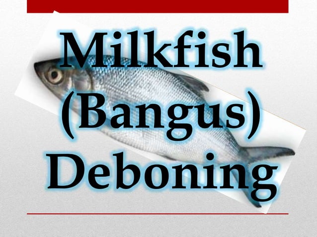 Bangus (MILK FISH) deboning | PPTX