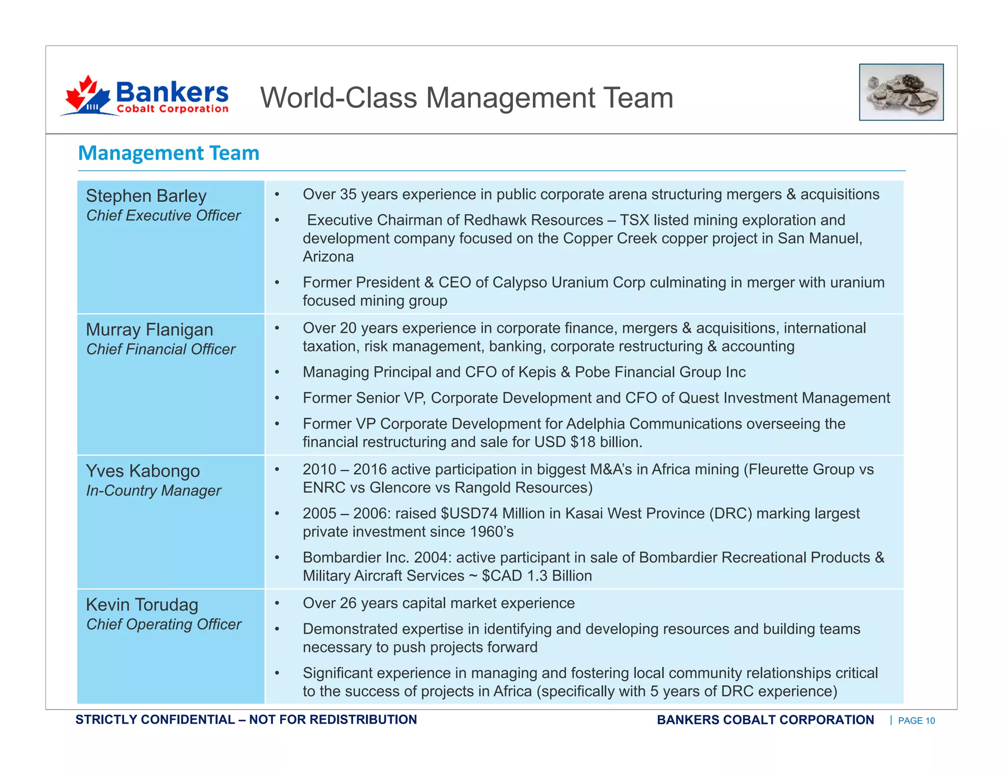 Bankers Cobalt Corporation Overview | PDF
