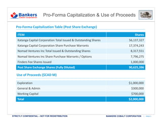 Bankers Cobalt Corporation Overview | PDF