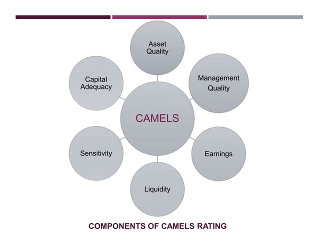 Bangladesh Shilpa Bank & CAMELS Rating System for Banking Institutions ...