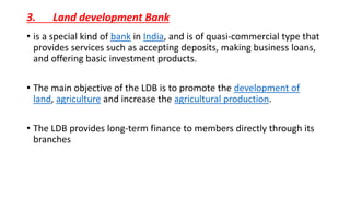 Drug Store & Business Management Banking & Finance .pptx