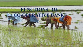 Banking cooperative | PPTX